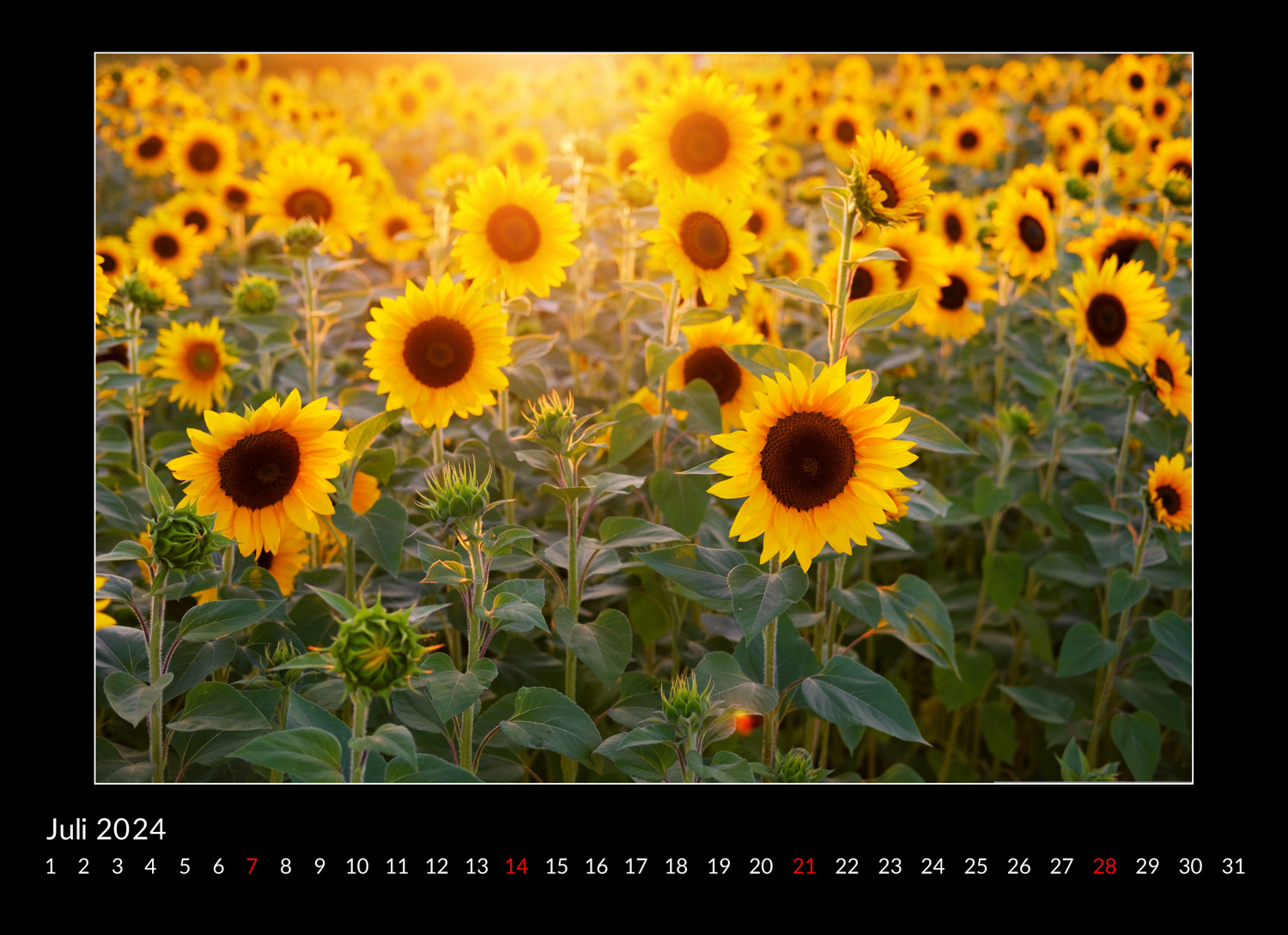 Fotokalender Von Eigenen Fotos Gestalten Auf Fotopapier